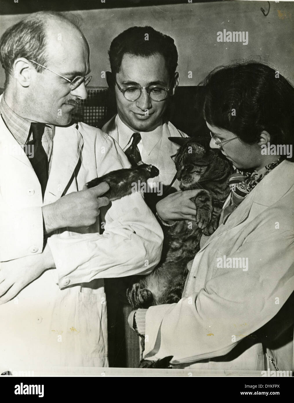 This photograph features Norman R. F. Maier, Nathan M. Glaser, and ...