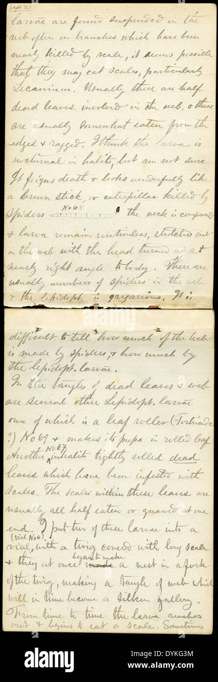 Diary entry history hi-res stock photography and images - Alamy