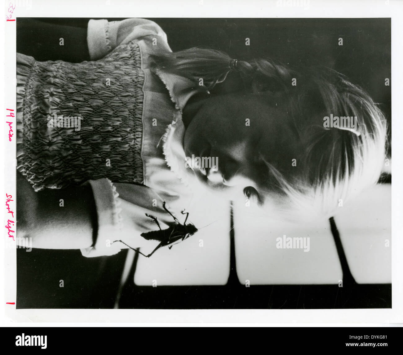 A child observes insects at the Insect Zoo, part of the Smithsonian’s ...