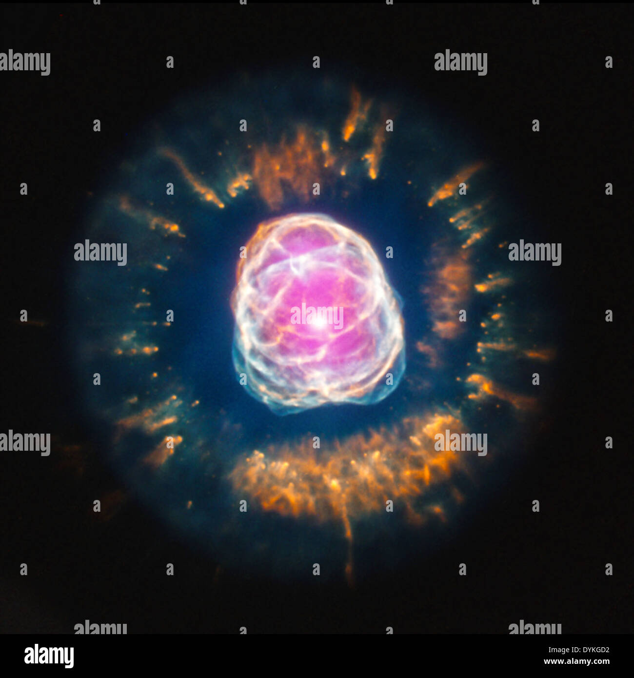 Stellar life cycle hi-res stock photography and images - Alamy