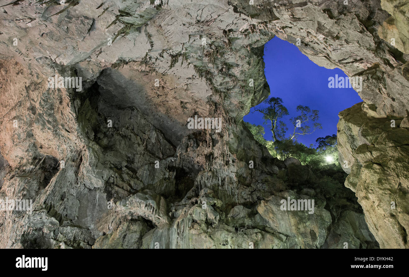 Tree cave hi-res stock photography and images - Alamy