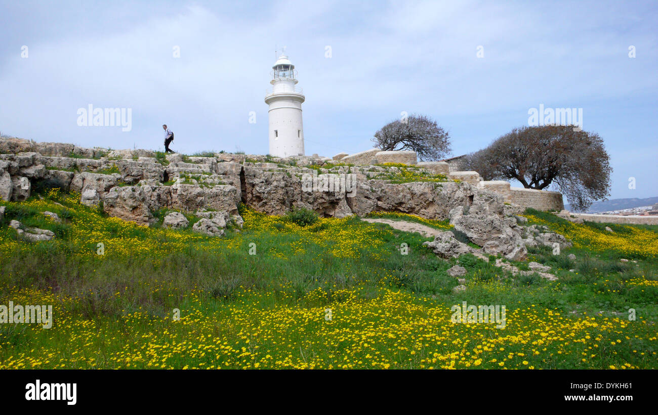 Spring flowers beneath the lighthouse at Paphos on the Mediterranean ...