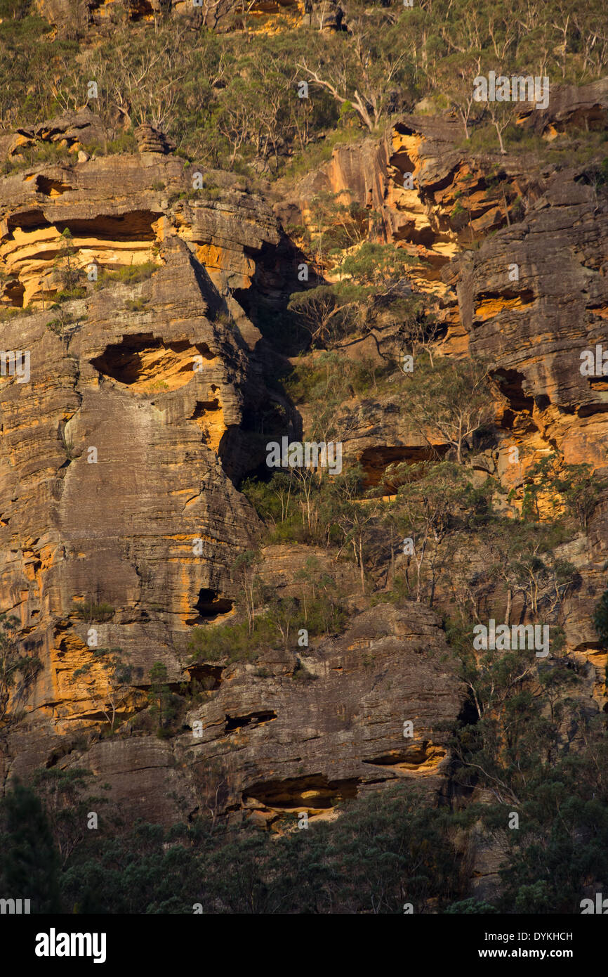 Sandstone escarpment in warm evening sunlight, Wollemi National Park ...