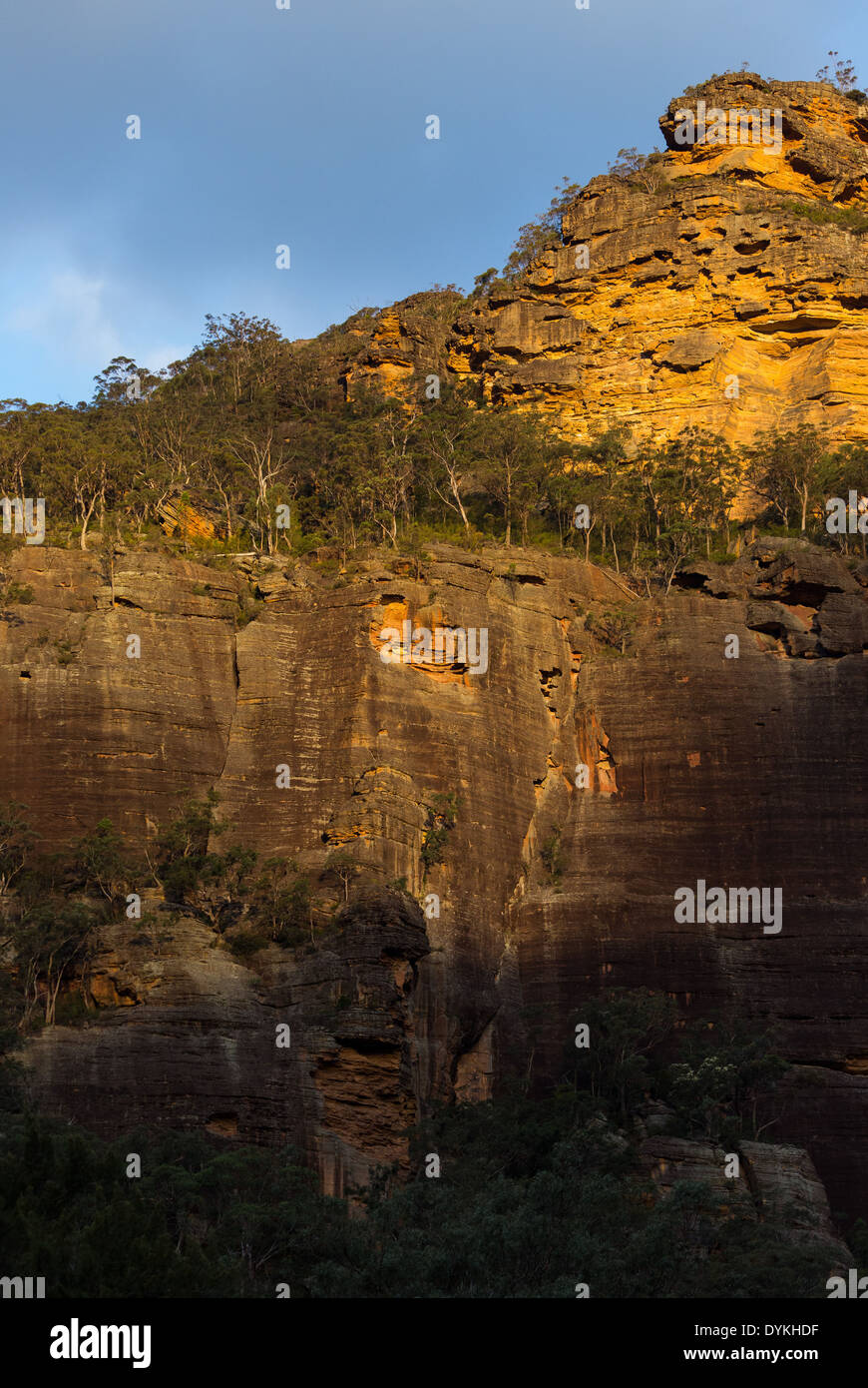 Sandstone escarpment in warm evening sunlight, Wollemi National Park ...