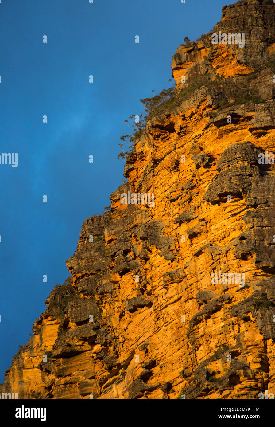 Sandstone escarpment in warm evening sunlight, Wollemi National Park ...