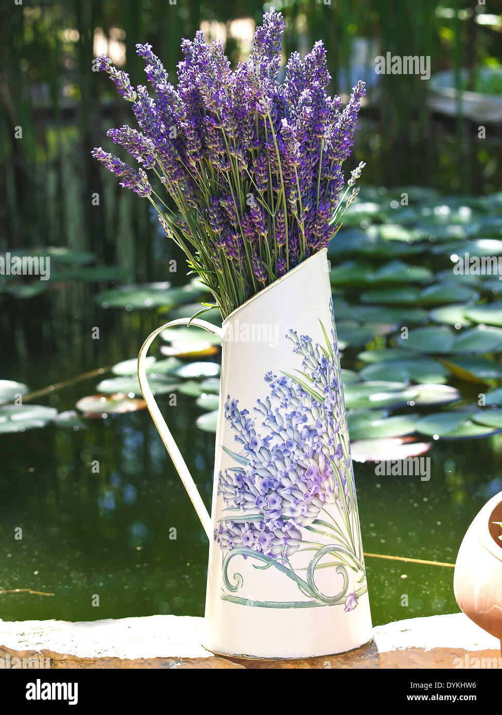 Lavender in bucket hi-res stock photography and images - Alamy