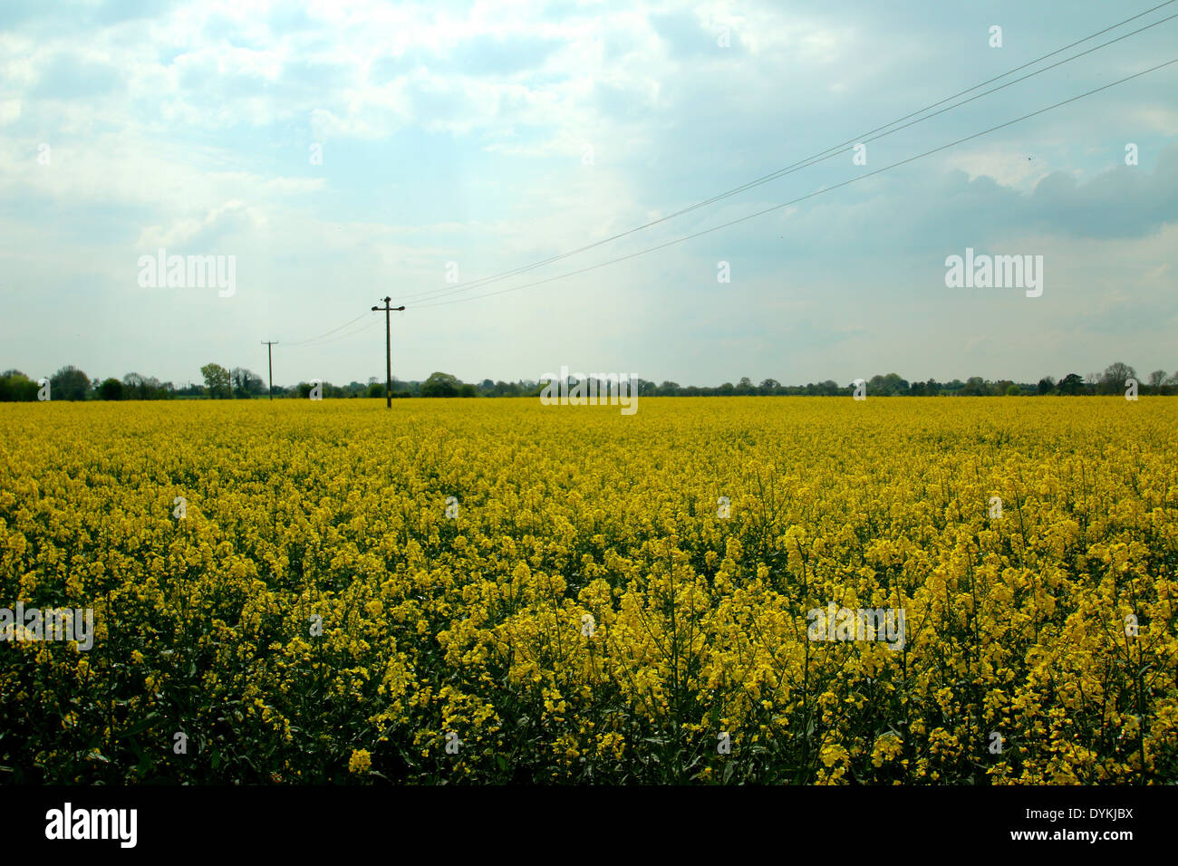 Tamron 10 24 hi-res stock photography and images - Alamy