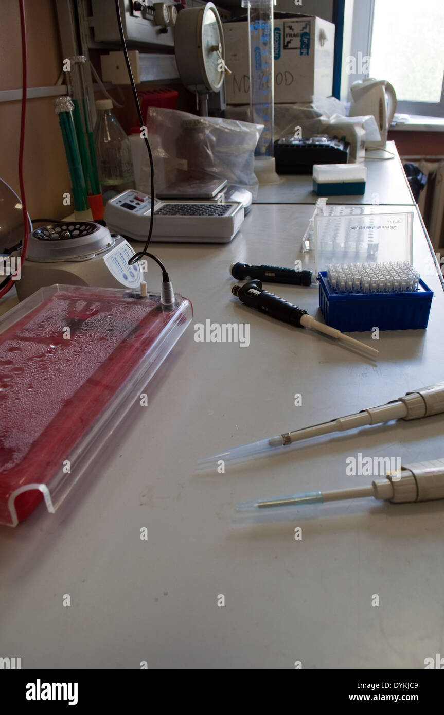 Desk in the biological laboratory. Equipment and facilities for ...