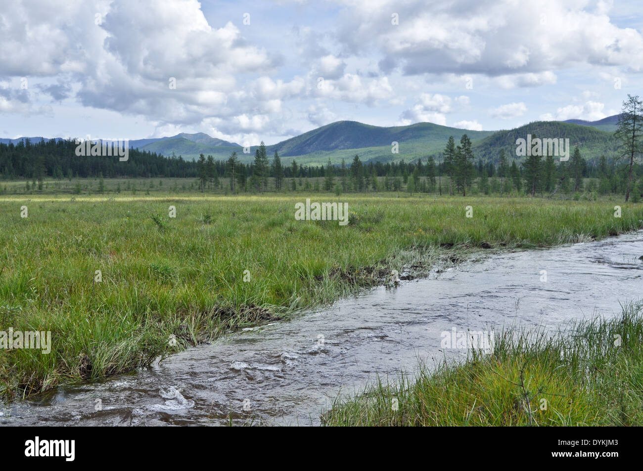 Water summer landscape surrounding the river Suntar in the Highlands of ...