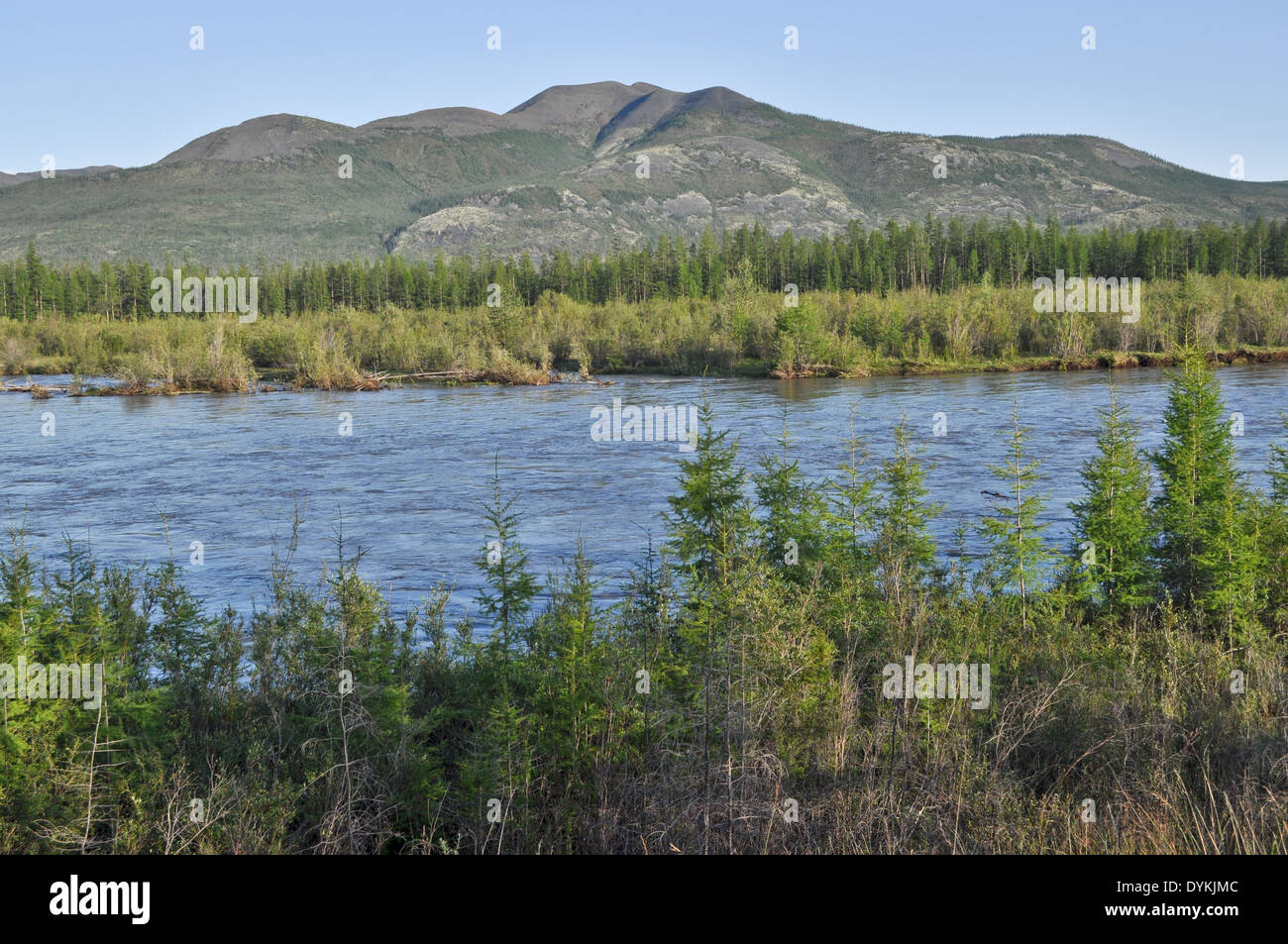 Water summer landscape surrounding the river Suntar in the Highlands of ...