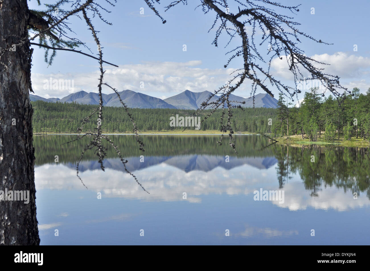 Water summer landscape surrounding the river Suntar in the Highlands of ...