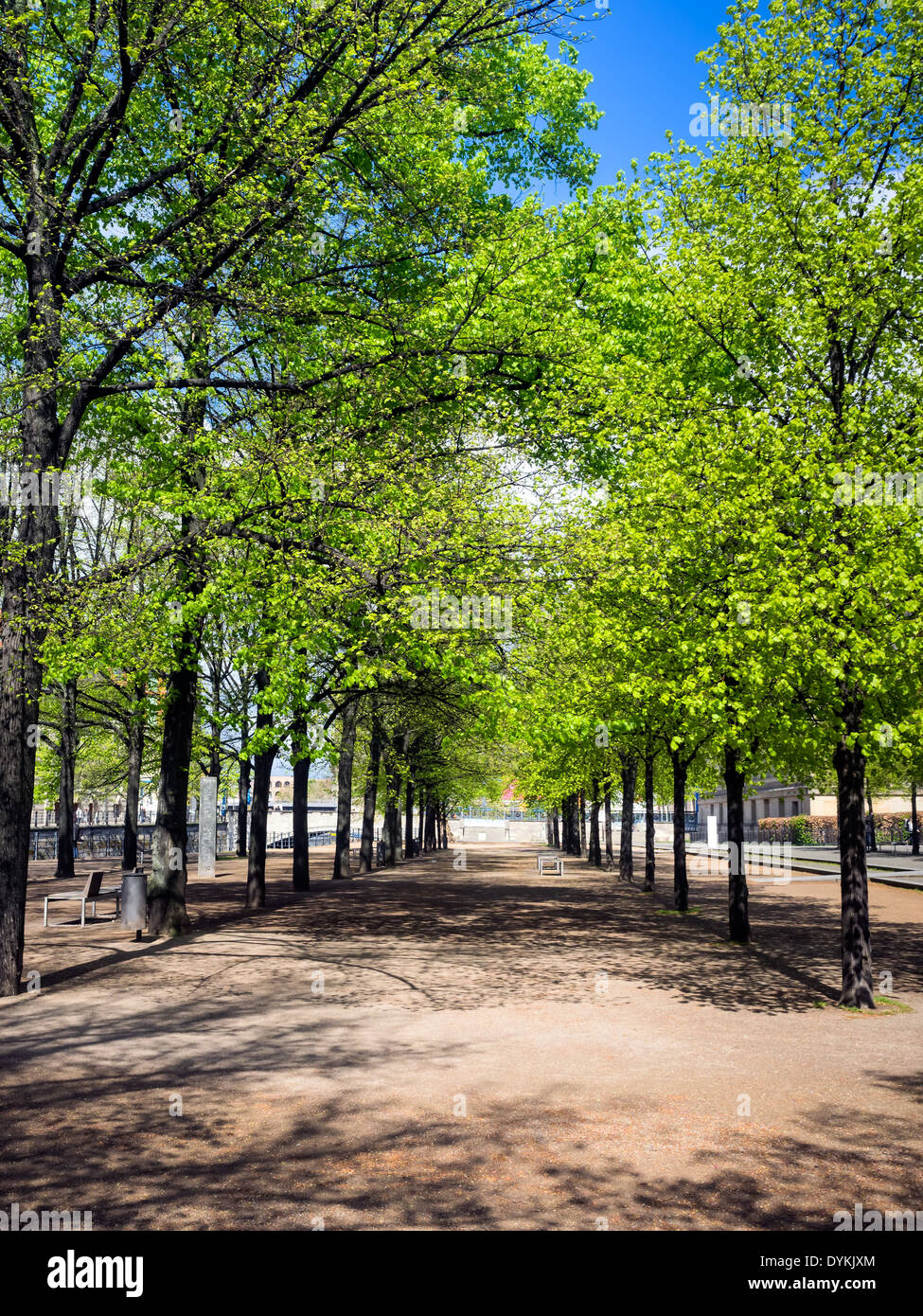 Linden boulevard in Berlin, Germany Stock Photo - Alamy