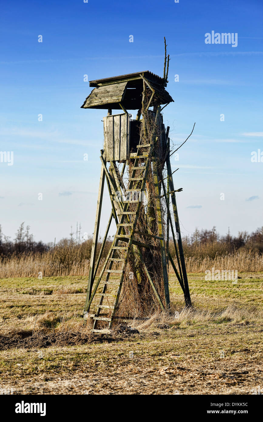 Hochsitz in Kirchwerder, Hamburg, Deutschland, Europa Stock Photo - Alamy