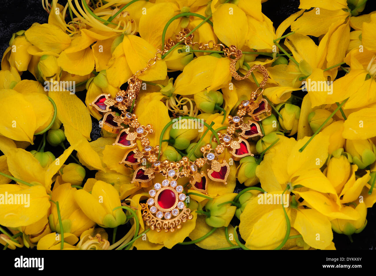 Kanikonna flowers hi-res stock photography and images - Alamy