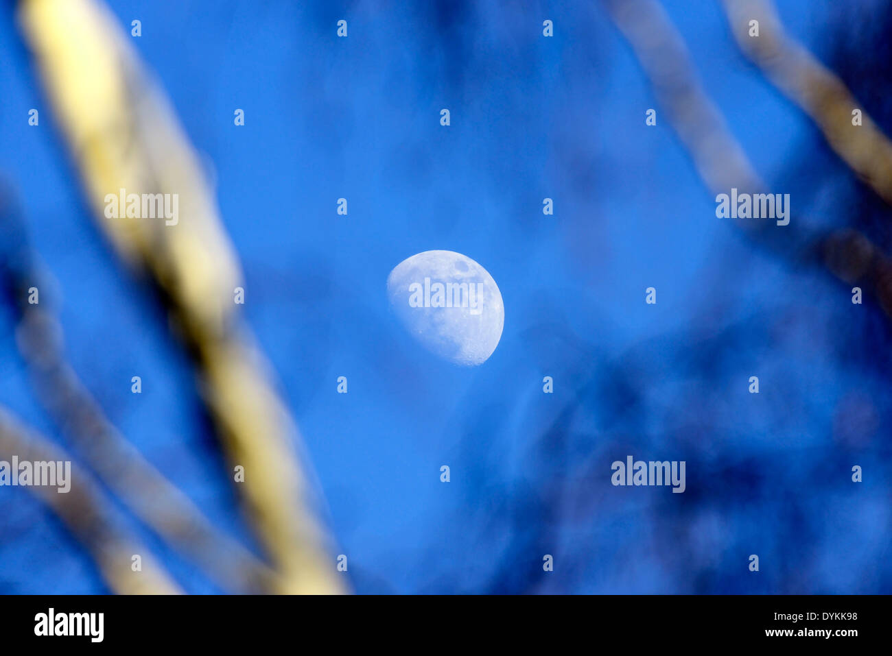 Mond hi-res stock photography and images - Alamy