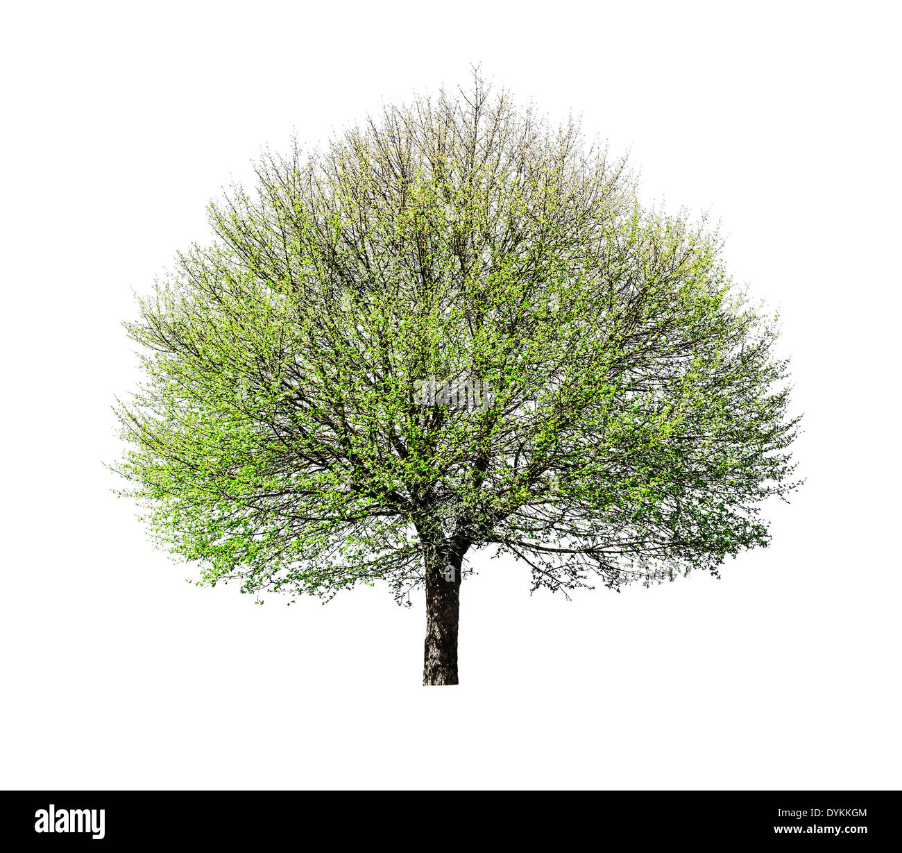 Empty background hi-res stock photography and images - Alamy