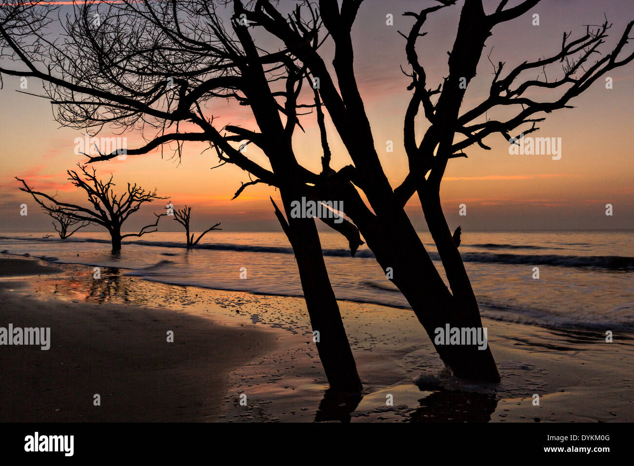 Sunrise over Boneyard Beach at Botany Bay, Edisto Island, South ...