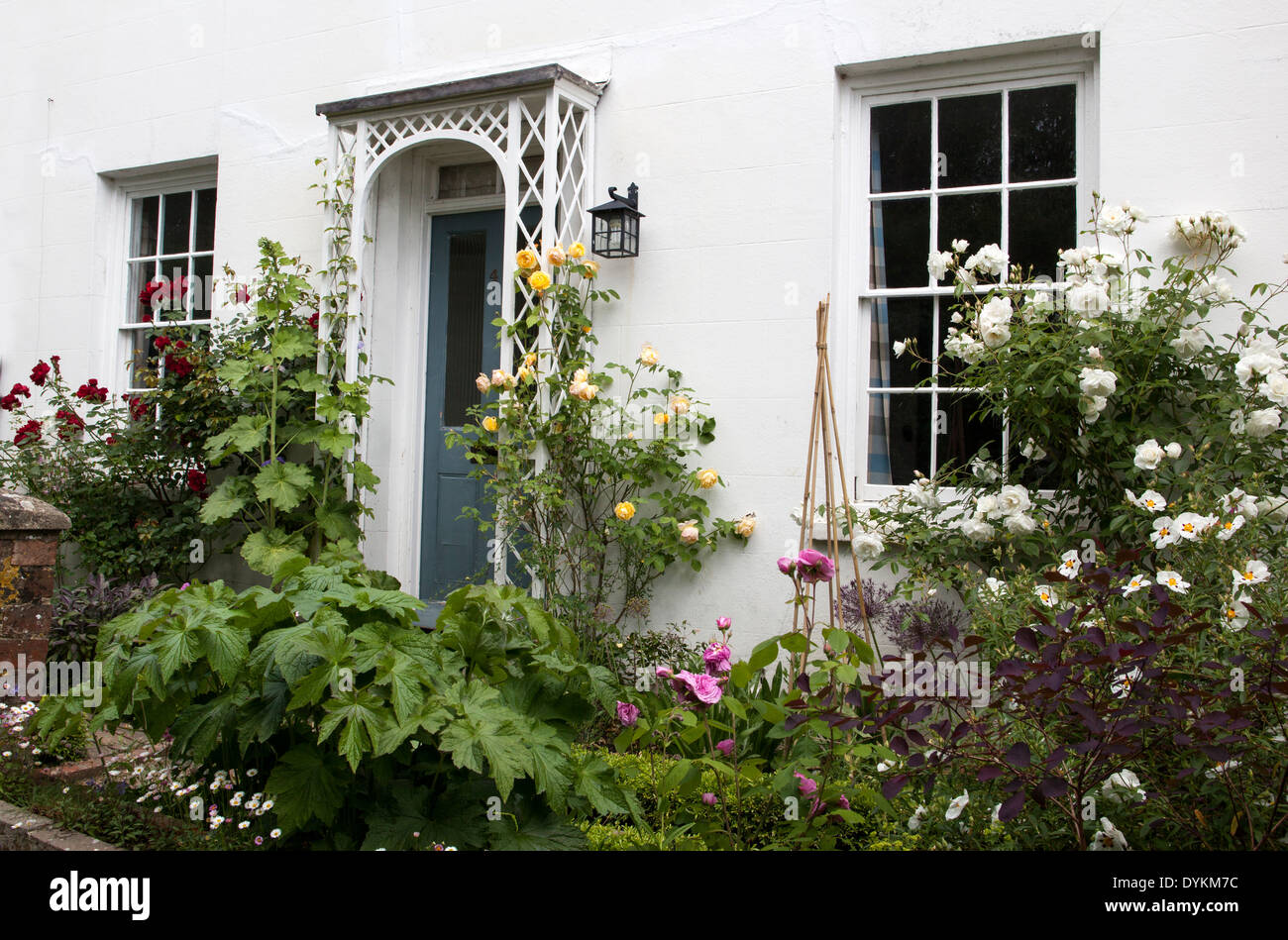 Cottage Roses Around Door Stock Photos & Cottage Roses Around Door ...