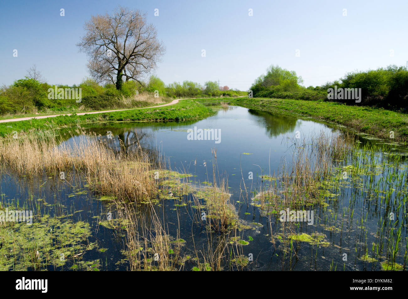 Pond water levels hi-res stock photography and images - Alamy