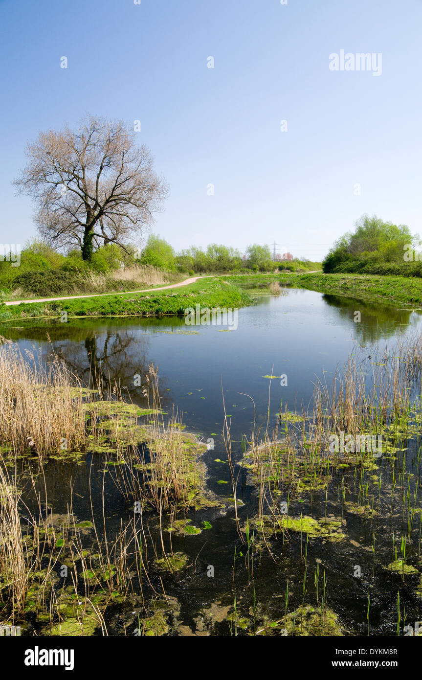 Lamby lake hi-res stock photography and images - Alamy