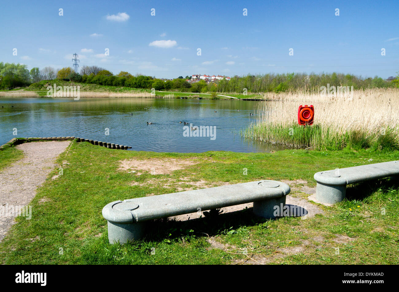 Lamby lake hi-res stock photography and images - Alamy