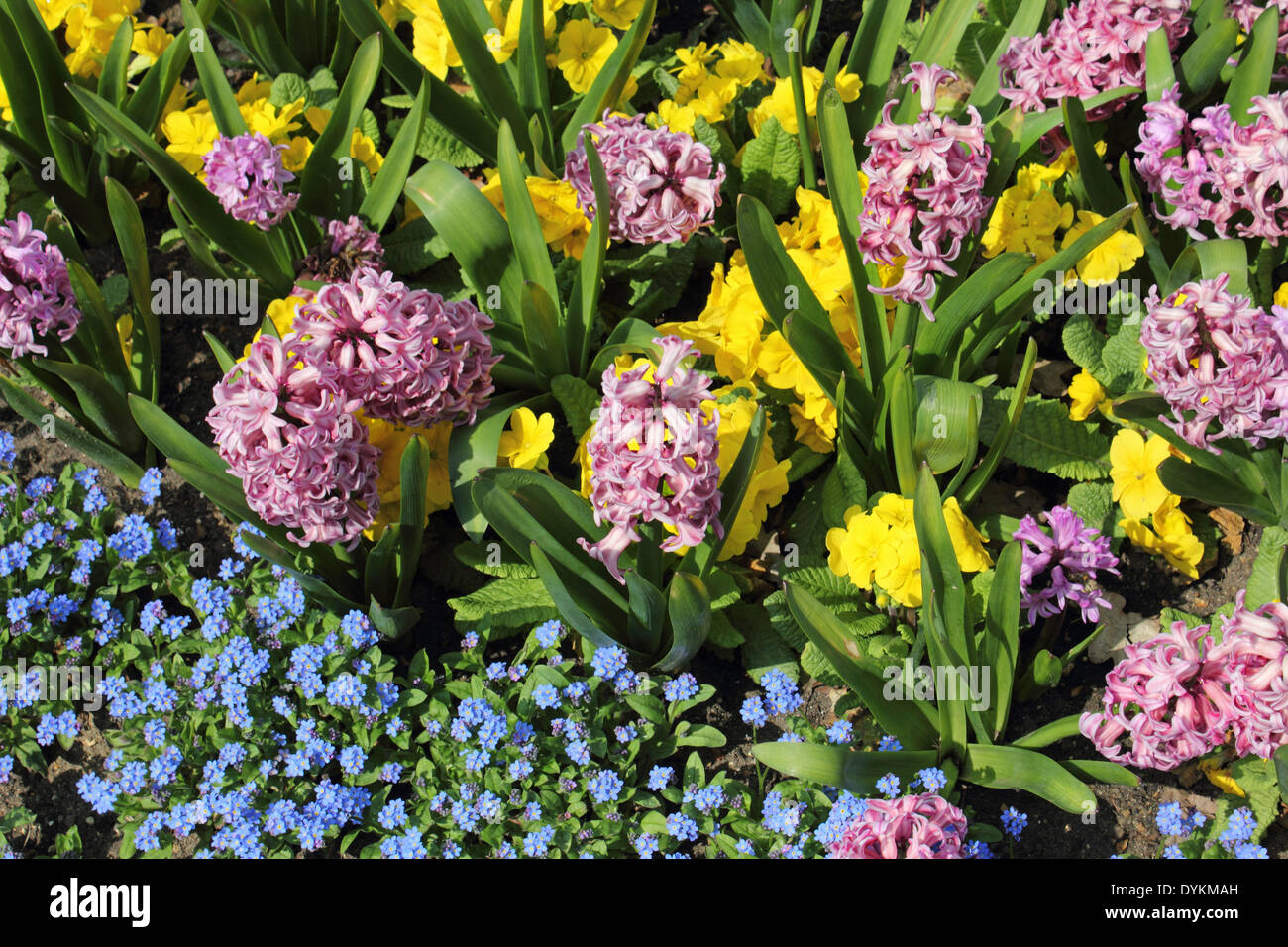 Richmond park spring hi-res stock photography and images - Alamy