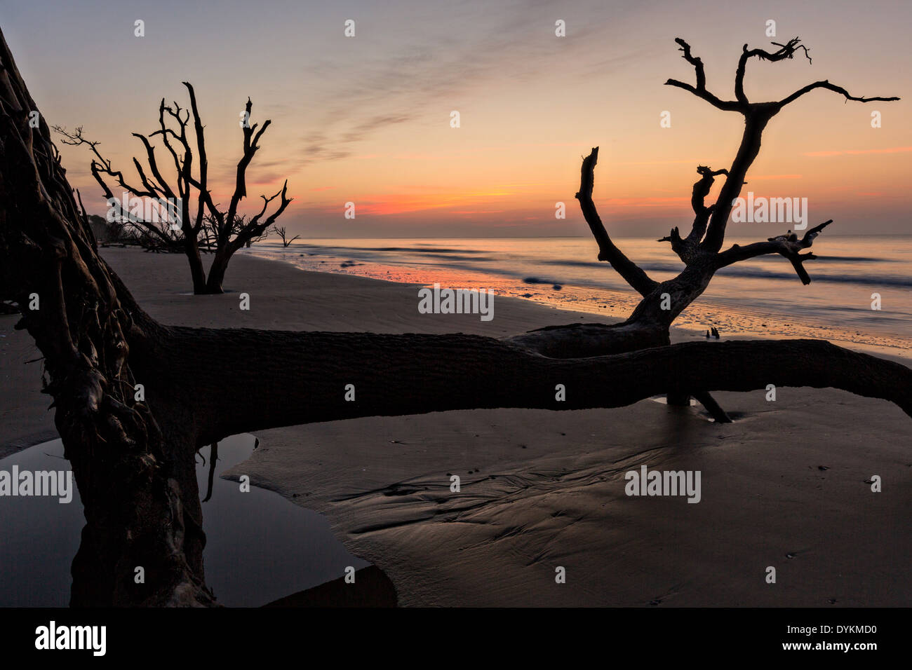 Sunrise over Boneyard Beach at Botany Bay, Edisto Island, South ...