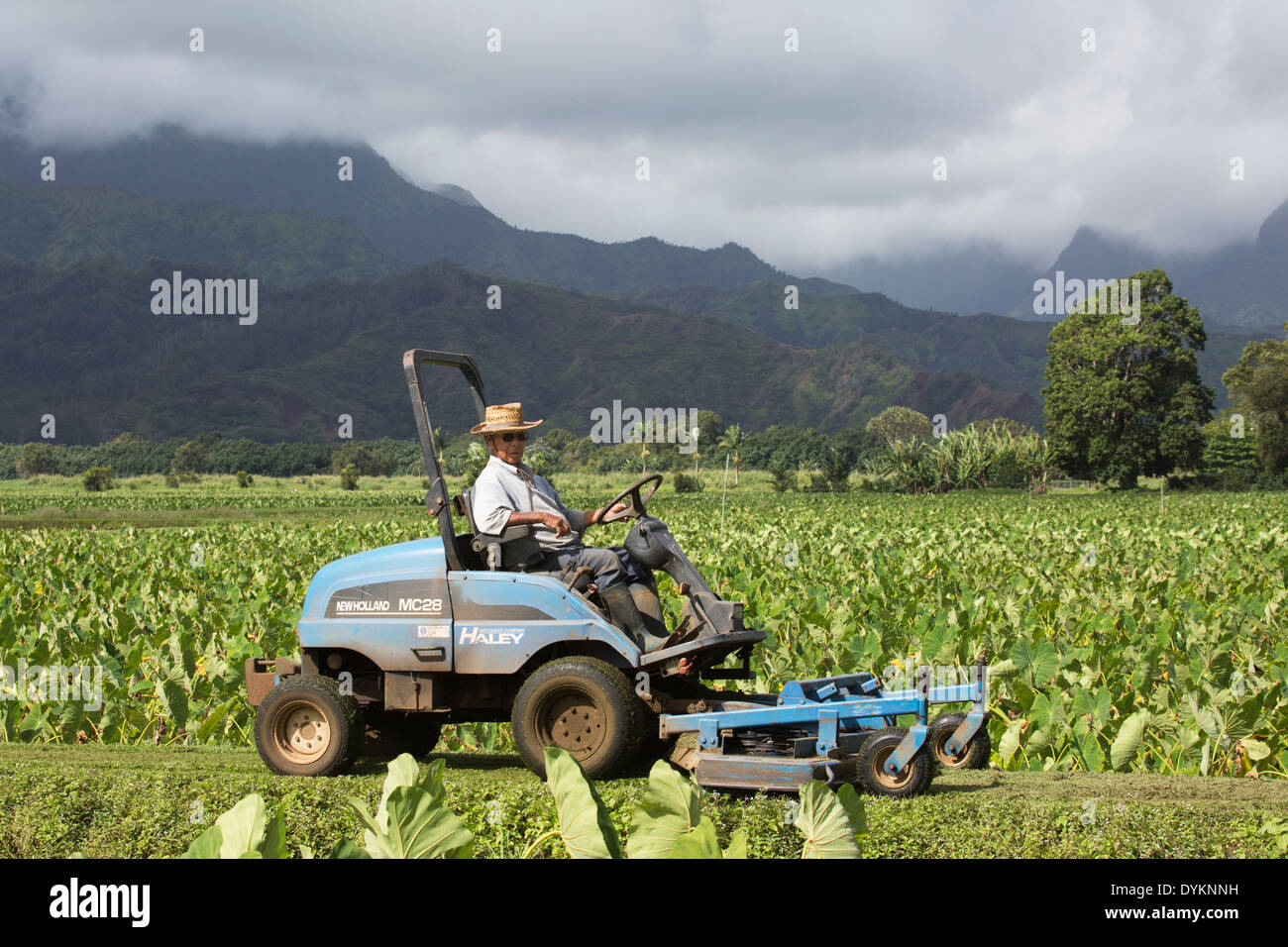 Verge cutting equipment hi-res stock photography and images - Alamy