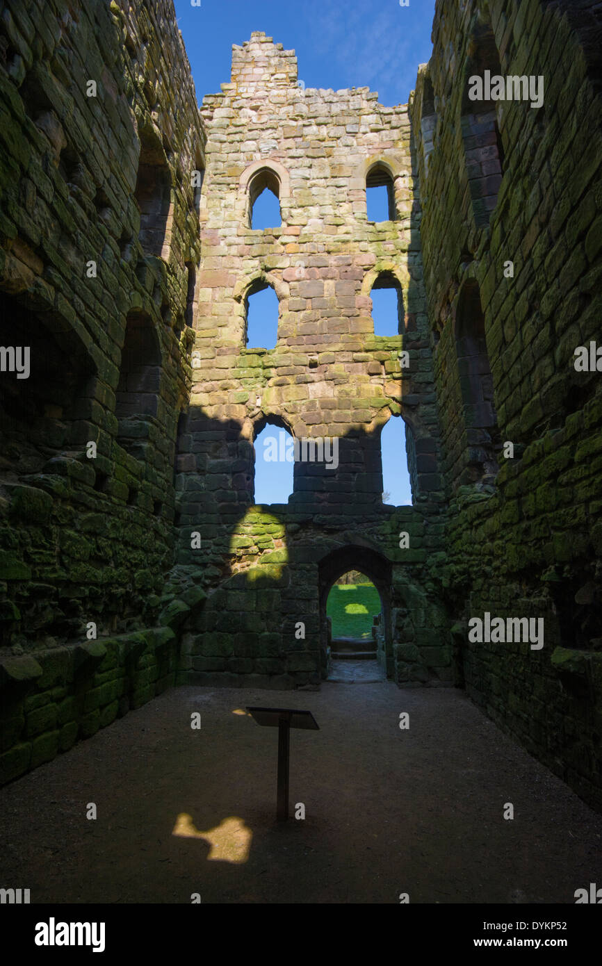 Etal hi-res stock photography and images - Alamy