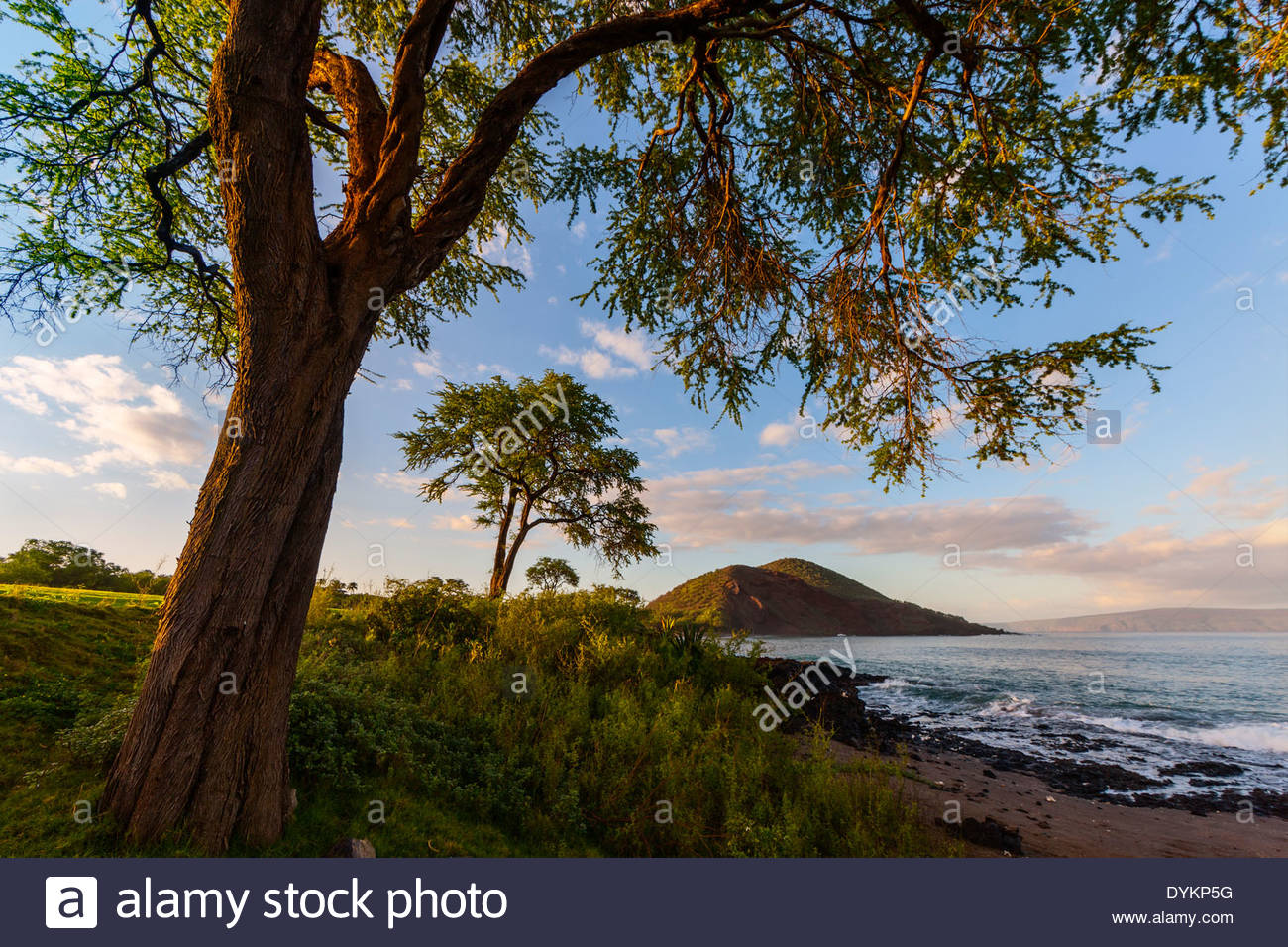 Hawaiian Coast High Resolution Stock Photography and Images - Alamy