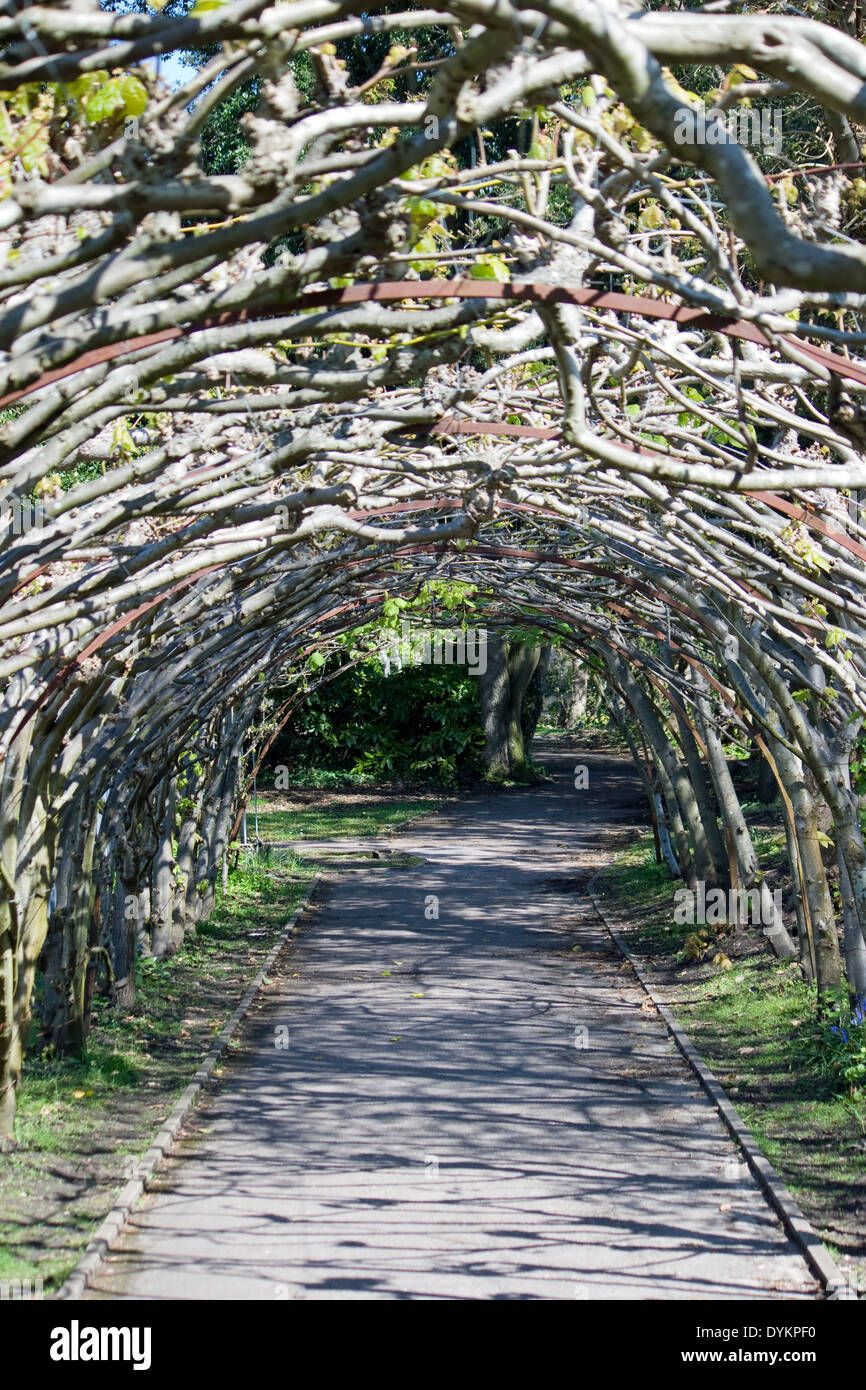 Arched pergola hi-res stock photography and images - Alamy