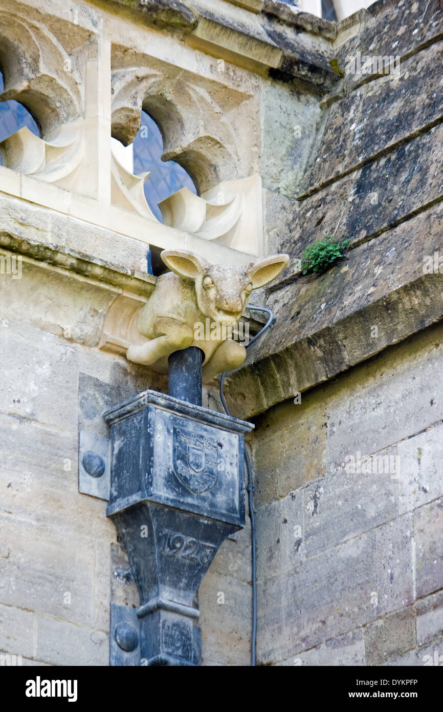 Drain pipe with gargoyle hi-res stock photography and images - Alamy