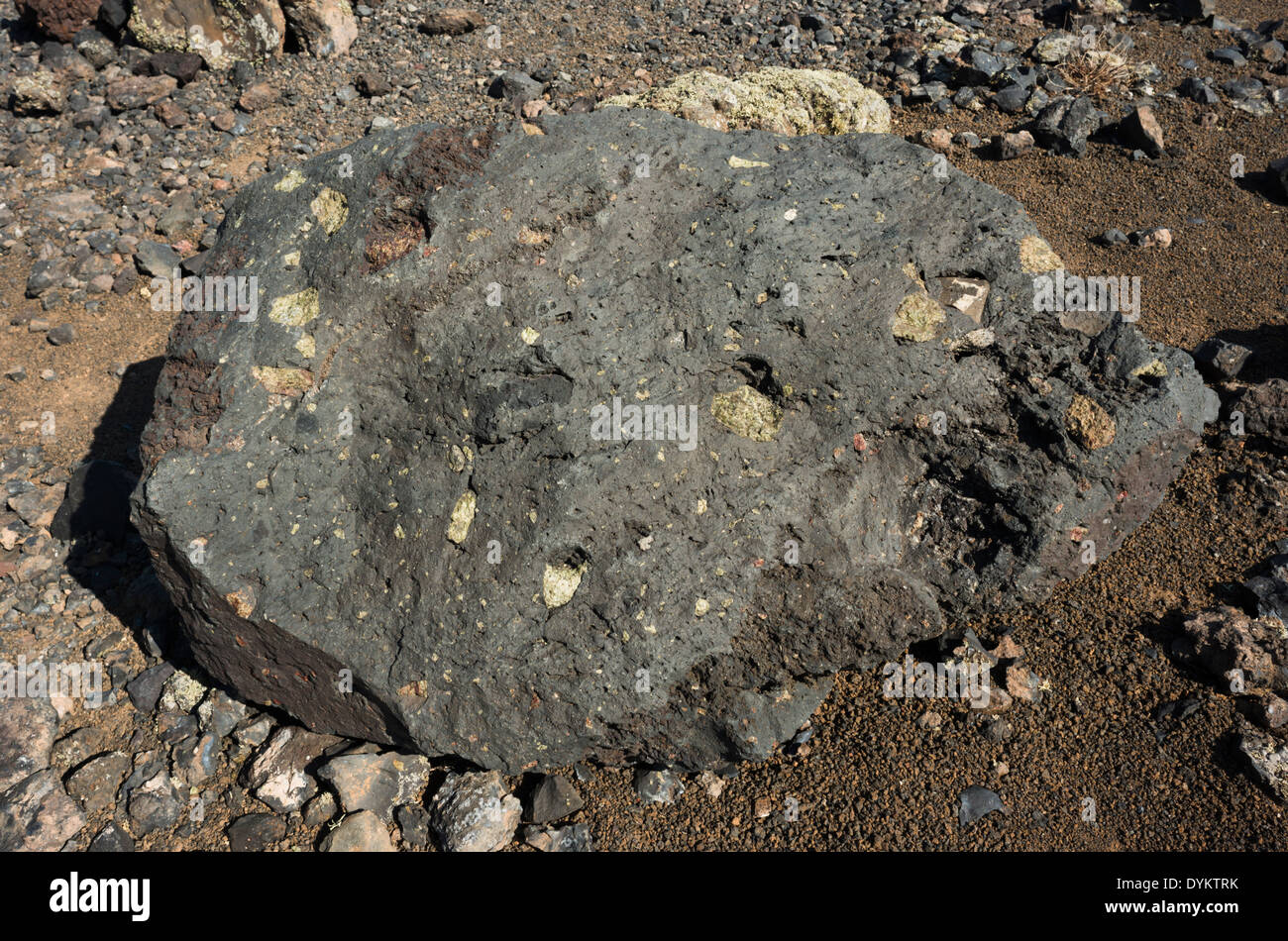 Large basaltic vesicular lava volcanic bomb, containing green olivine ...