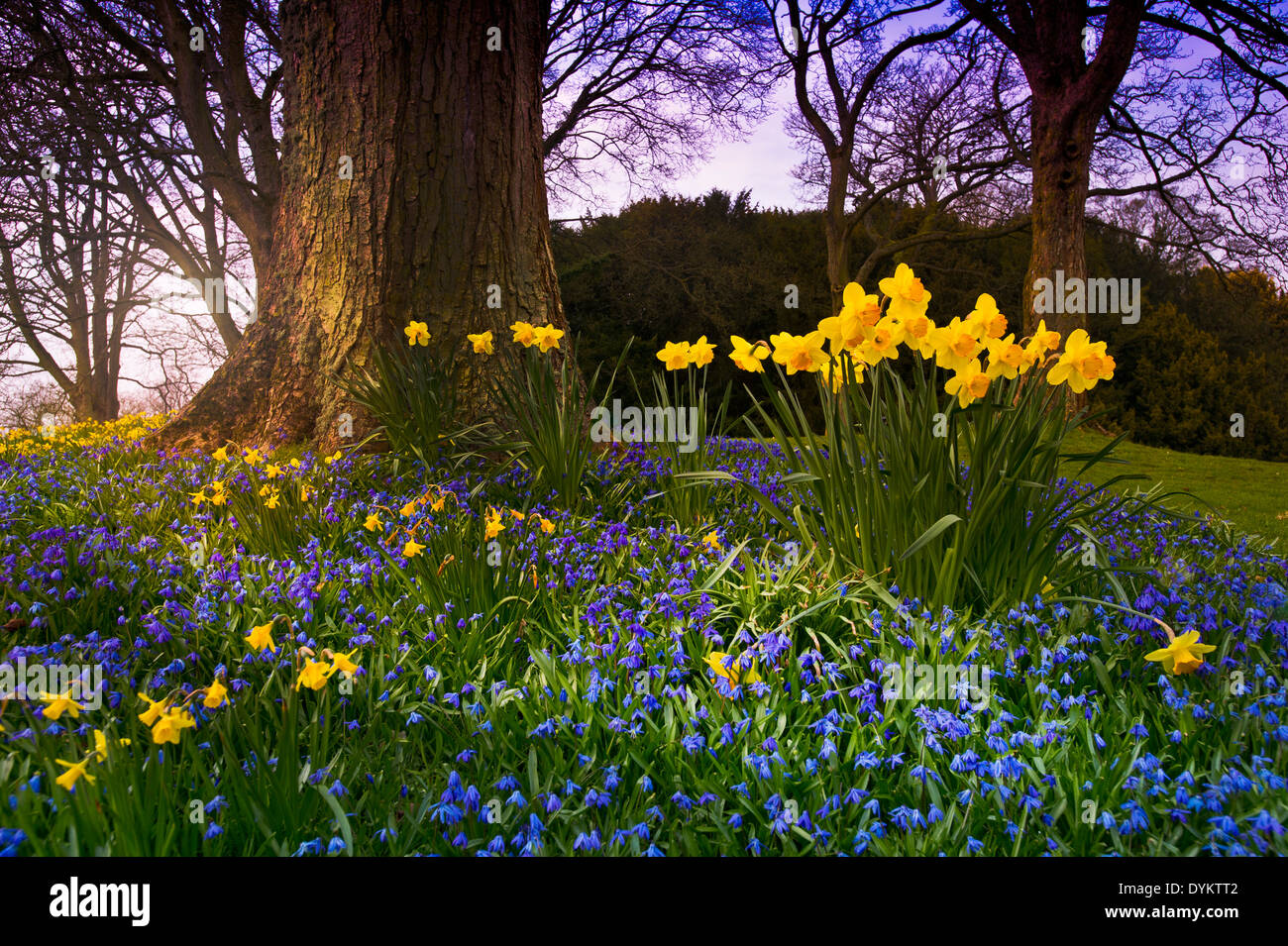 Spring gardens and parkland Stock Photo - Alamy