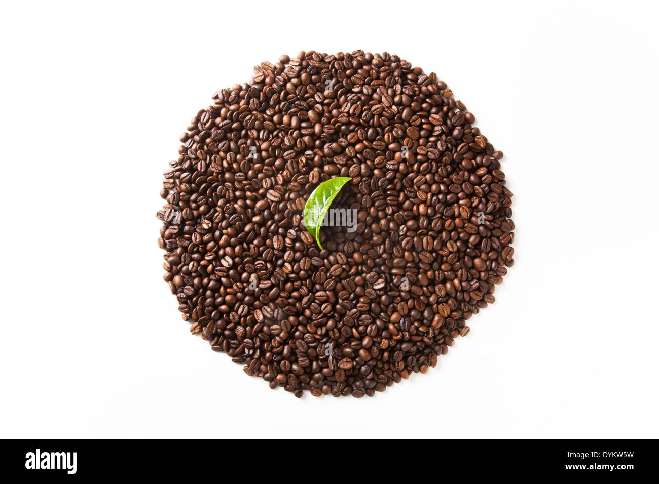 Circle of roasted coffee beans isolated on white background overhead ...