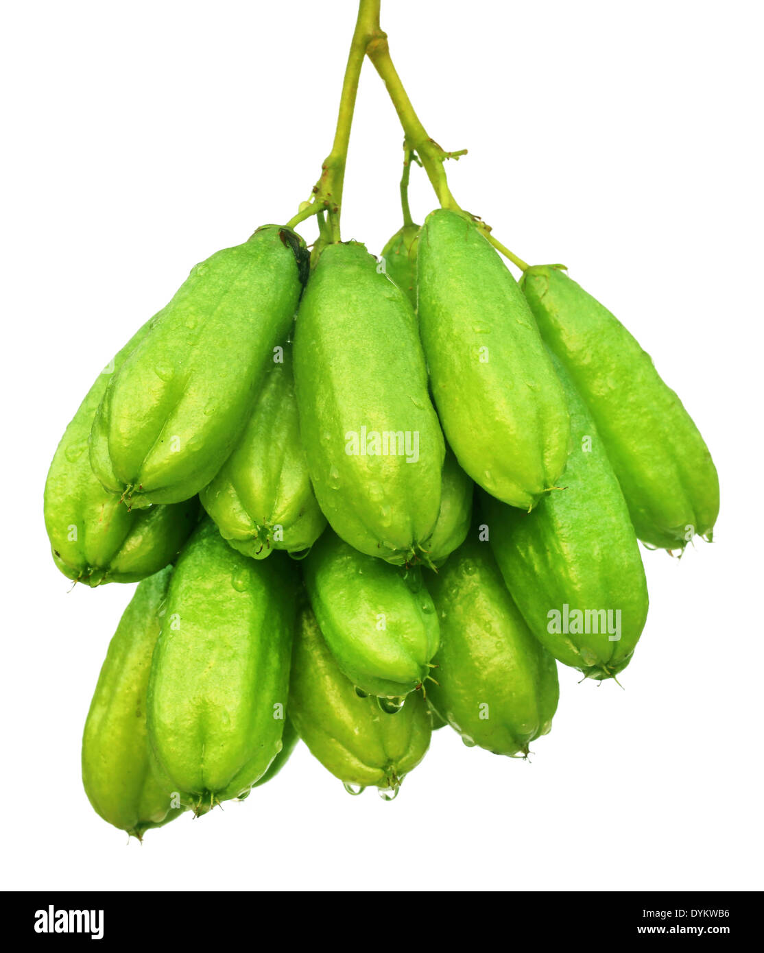Large bunch of Bilimbi fruits of South East Asia Stock Photo - Alamy