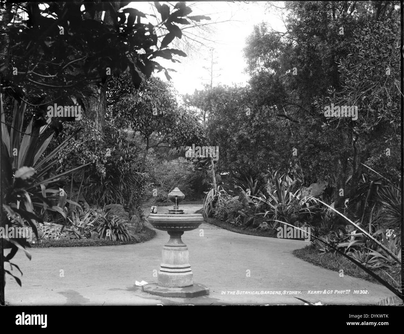 This image depicts a scenic view of the Botanical Gardens in Sydney ...