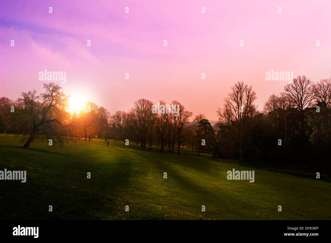 Spring gardens and parkland at sunset Stock Photo - Alamy