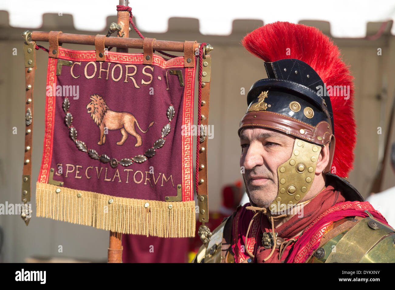 Roman legion banner hi-res stock photography and images - Alamy