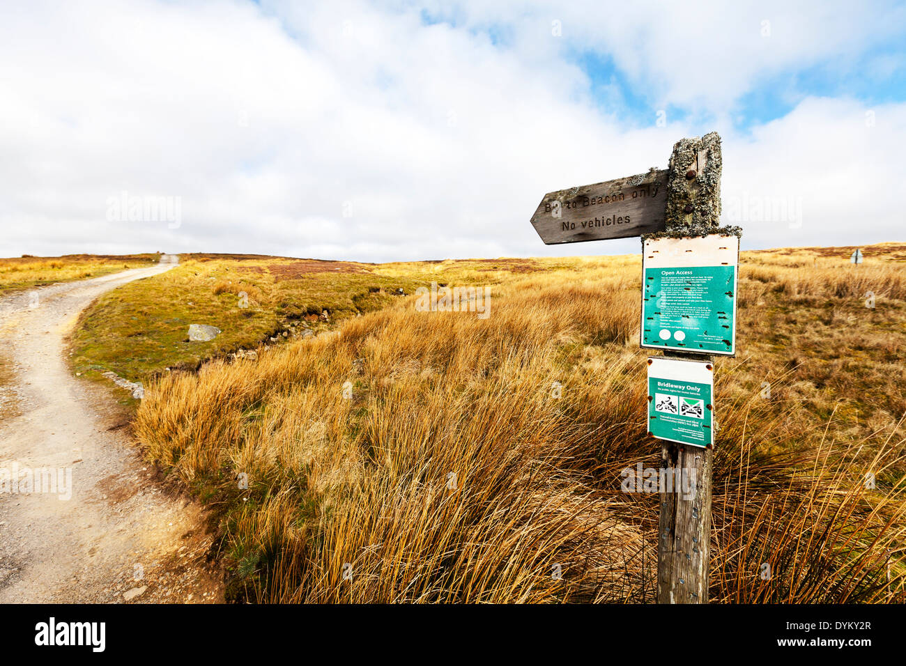 Open access hi-res stock photography and images - Alamy