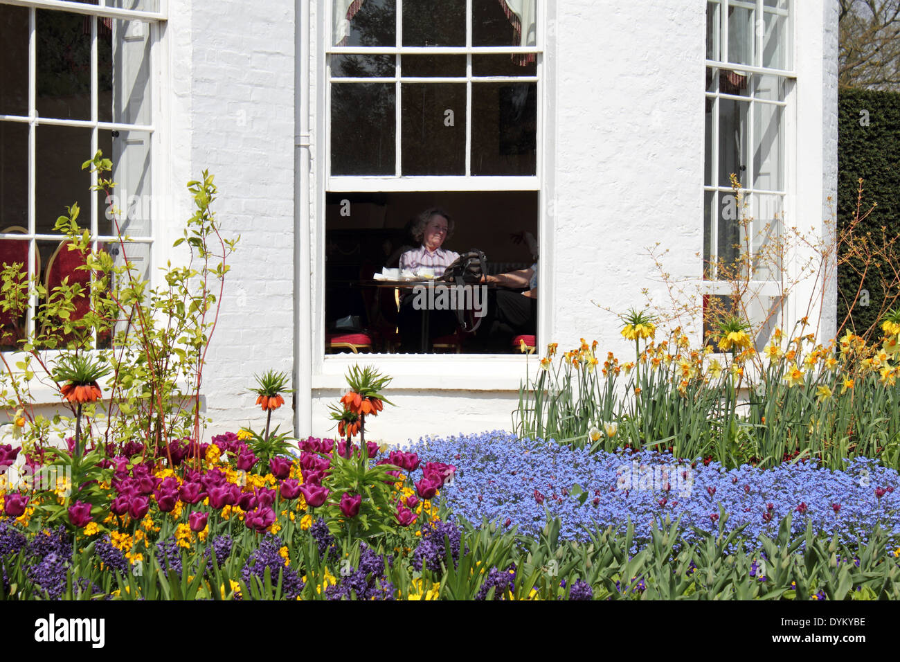 Spring flowers in Pembroke Lodge Richmond Park Surrey UK Stock Photo ...