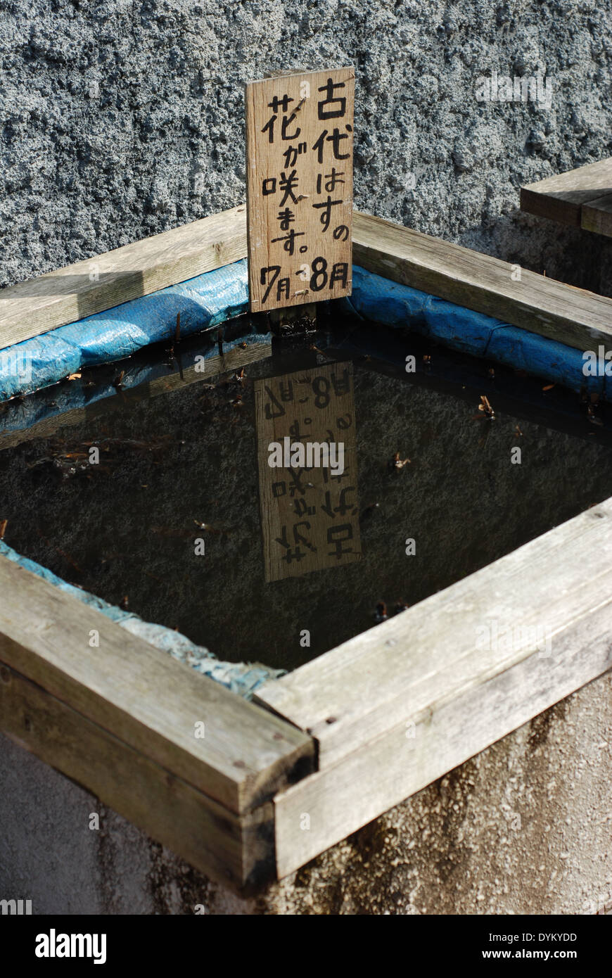 Izu peninsula hi-res stock photography and images - Alamy