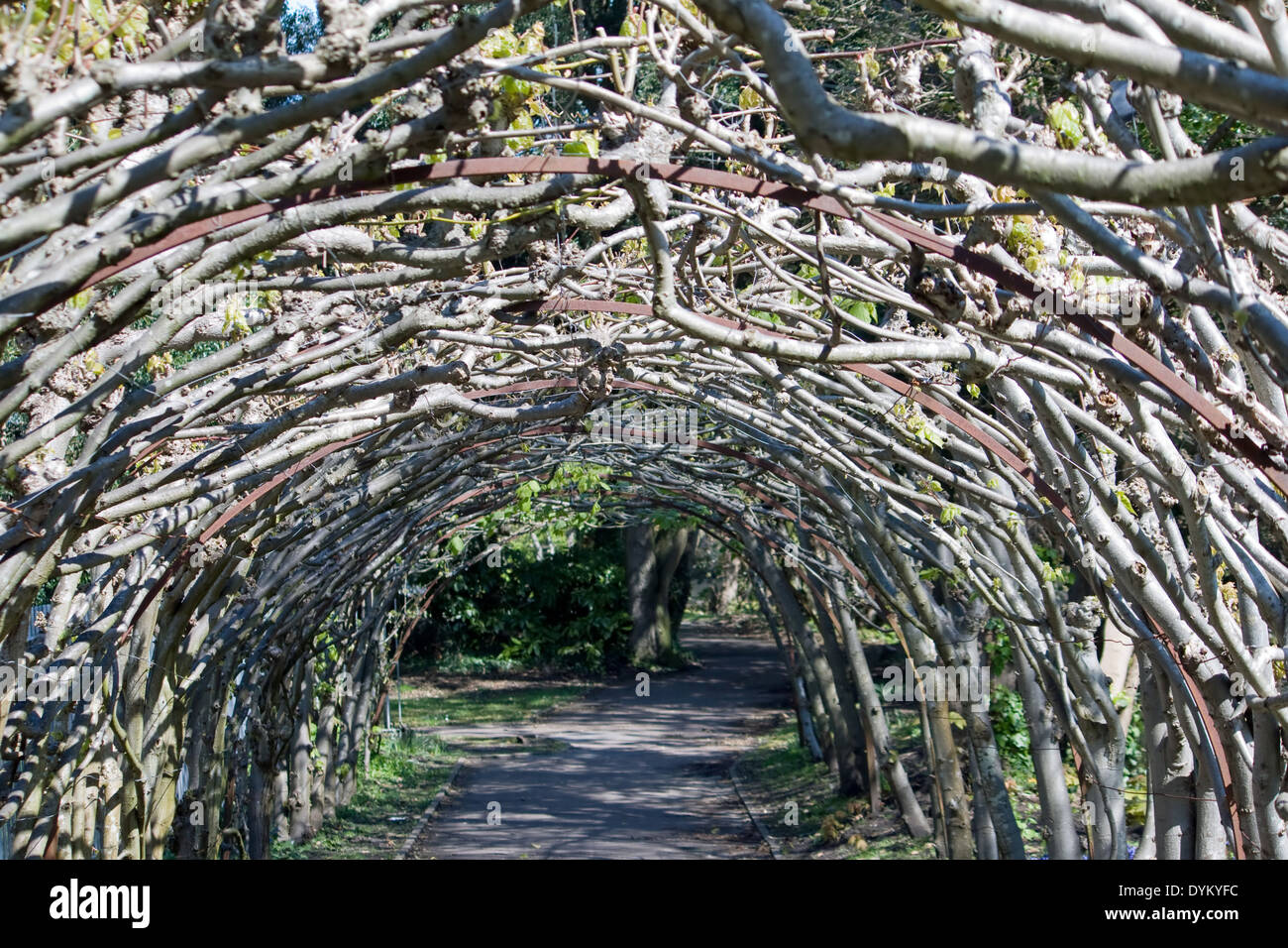 Arched pergola hi-res stock photography and images - Alamy