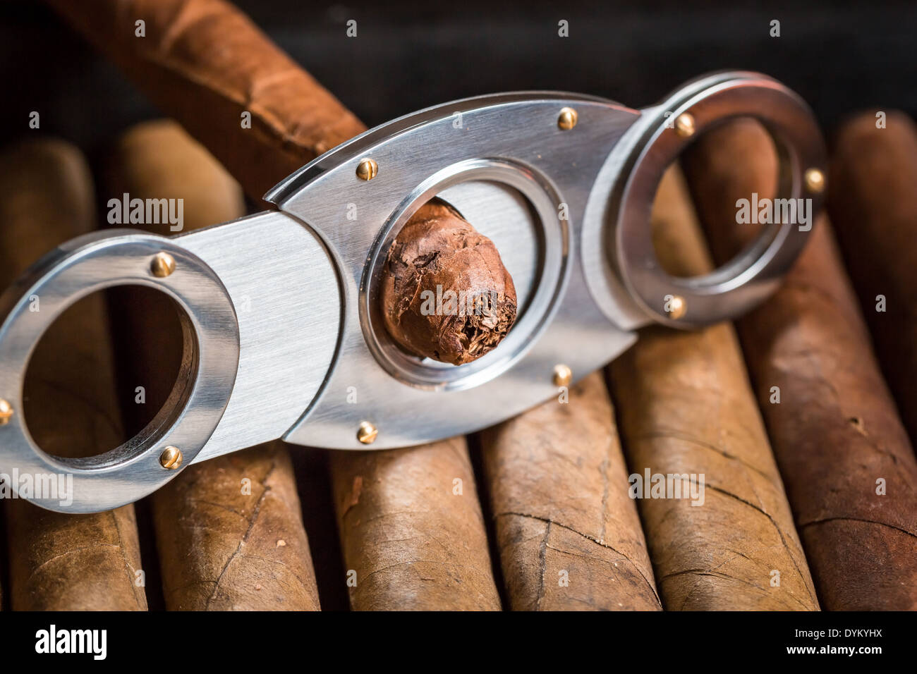 Cigar cutting cigar box hi-res stock photography and images - Alamy