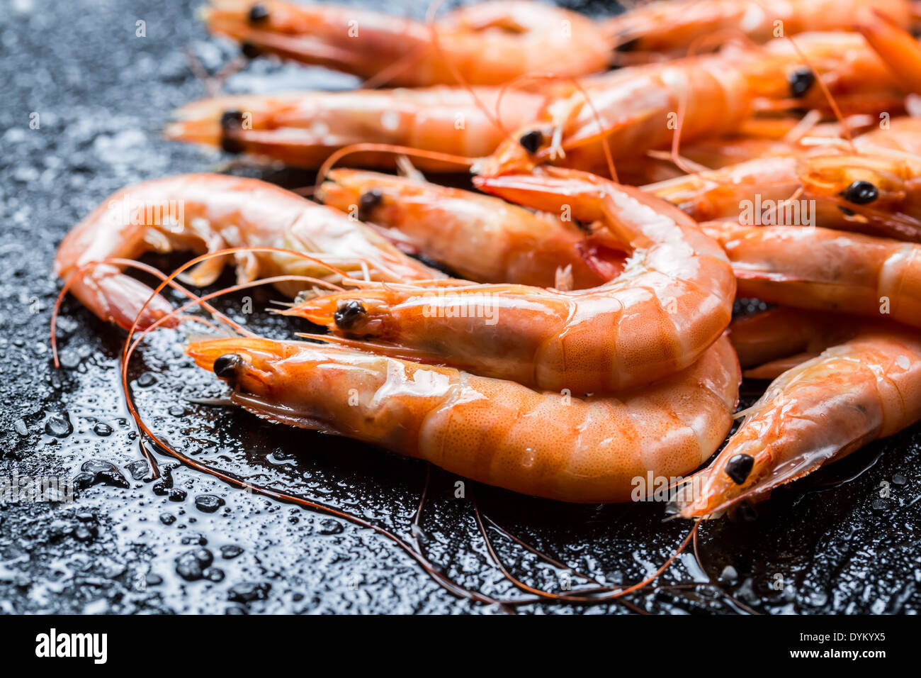 Freshly caught shrimp on black rock Stock Photo - Alamy