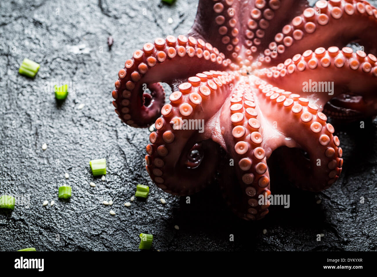 Purple octopus hi-res stock photography and images - Alamy