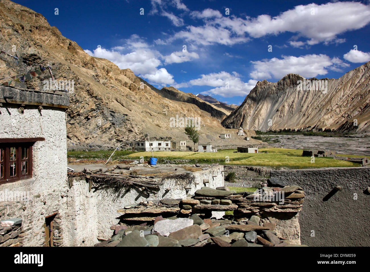 Markha valley trek hi-res stock photography and images - Alamy