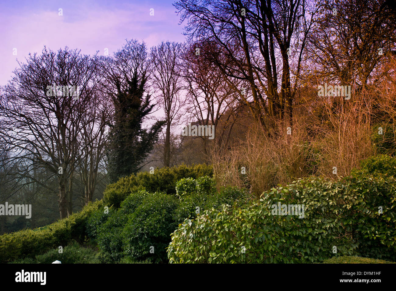 Spring gardens and parkland Stock Photo - Alamy