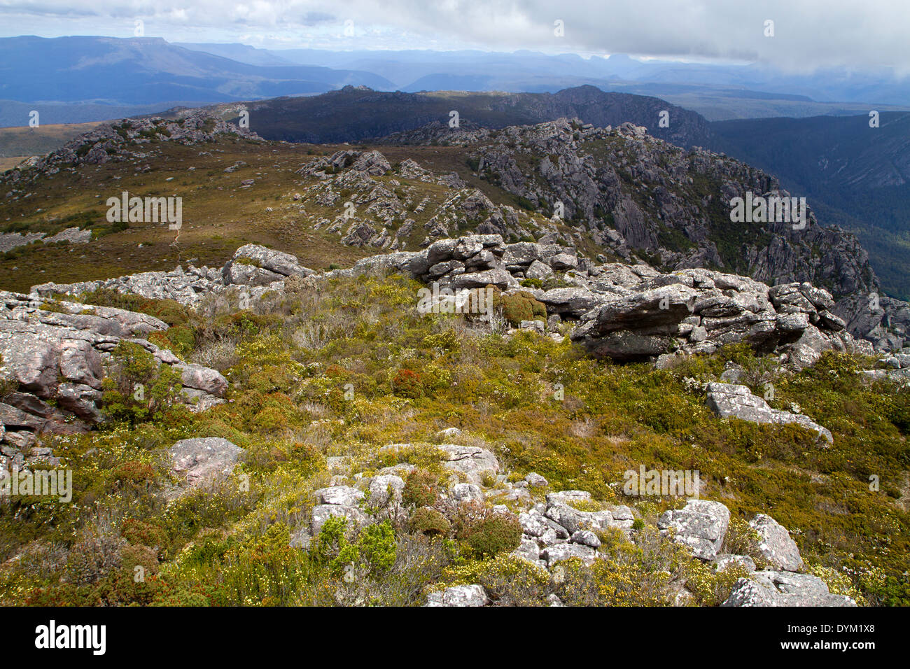 View from the summit of Mt Roland Stock Photo - Alamy
