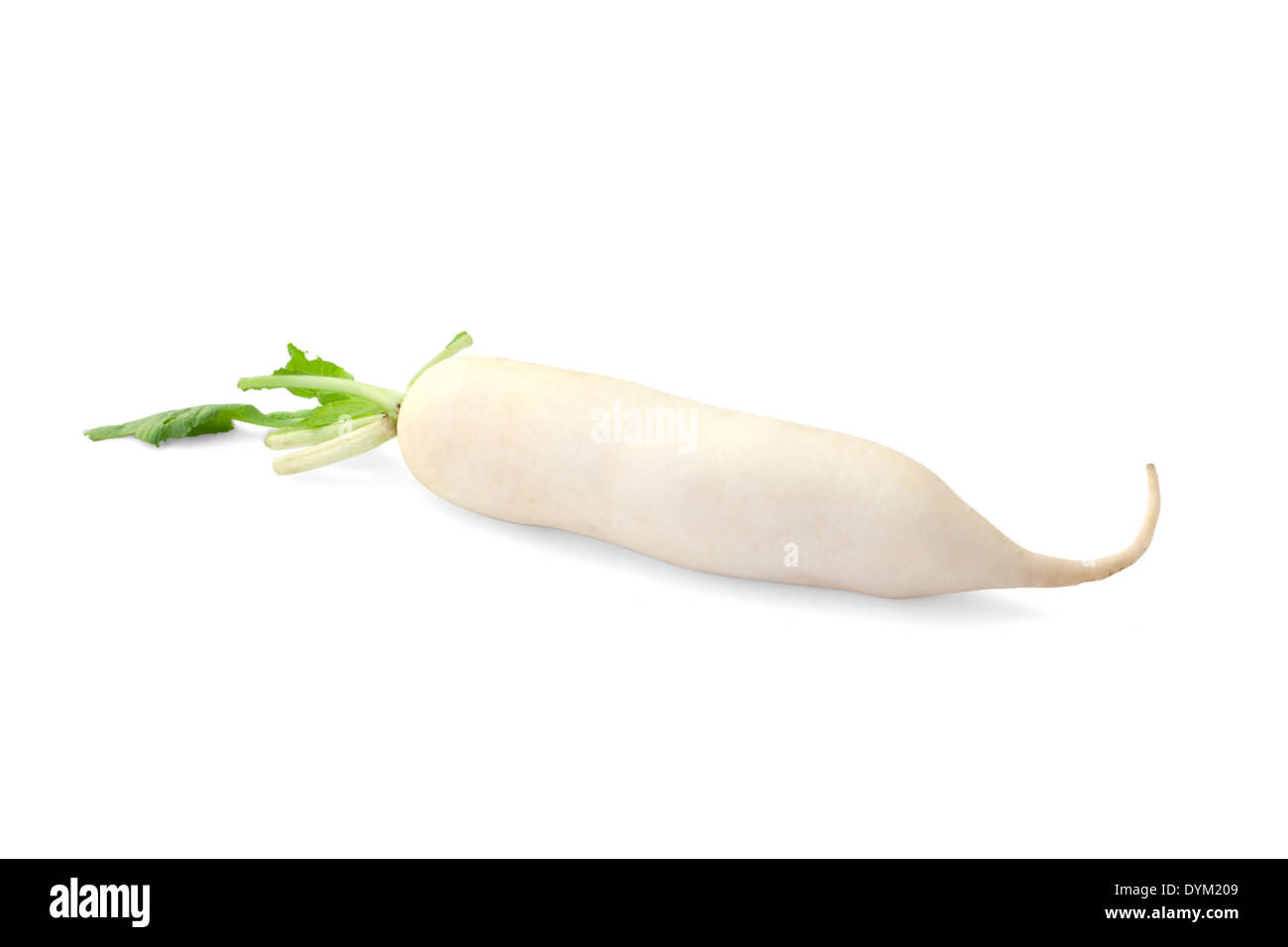 Mooli daikon hi-res stock photography and images - Alamy